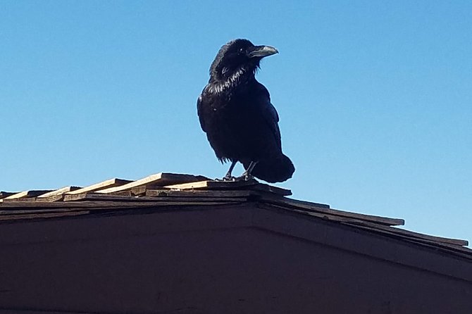 Grand Canyon Tour from Flagstaff - Who Will Love This Tour?