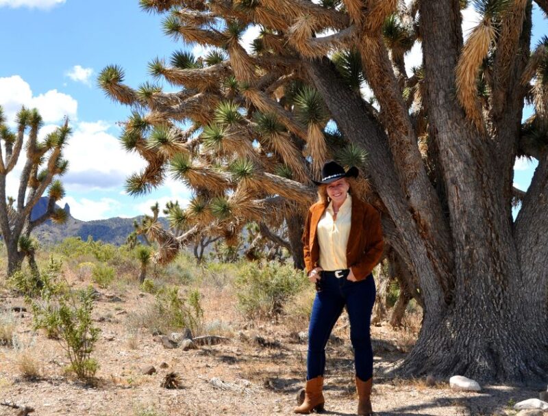 Grand Canyon West & Hoover Dam Combo Tour - Analyzing the Price and Value