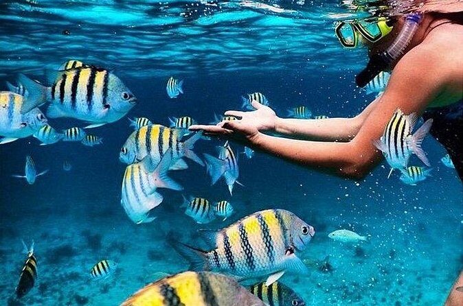 Grand Cayman 2 in 1 Combo Adventure: Stingrays & Reef Snorkeling - Frequently Asked Questions