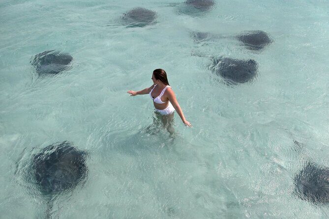 Grand Cayman 2-Stop Snorkeling and Stingray City Combo Adventure - Key Points