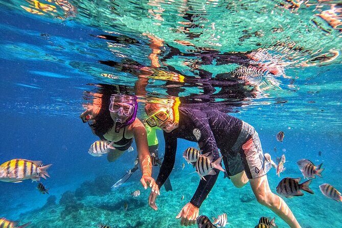 Grand Cayman 2-Stop Snorkeling and Stingray City Combo Adventure - Detailed Breakdown of the Itinerary