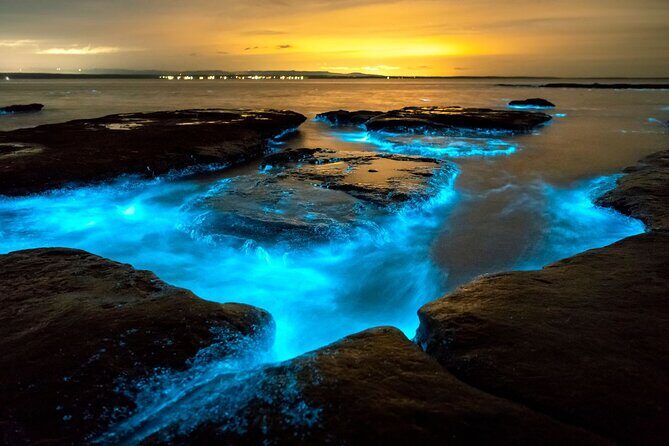 Grand Cayman Bioluminescence Adventure - Who Will Love This Tour?