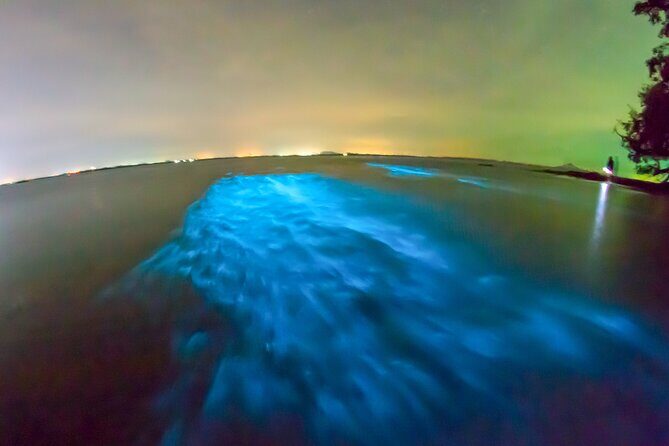 Grand Cayman Bioluminescence Adventure - FAQ