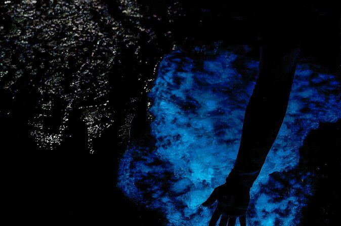 Grand Cayman Bioluminescent Bay Tour - Frequently Asked Questions