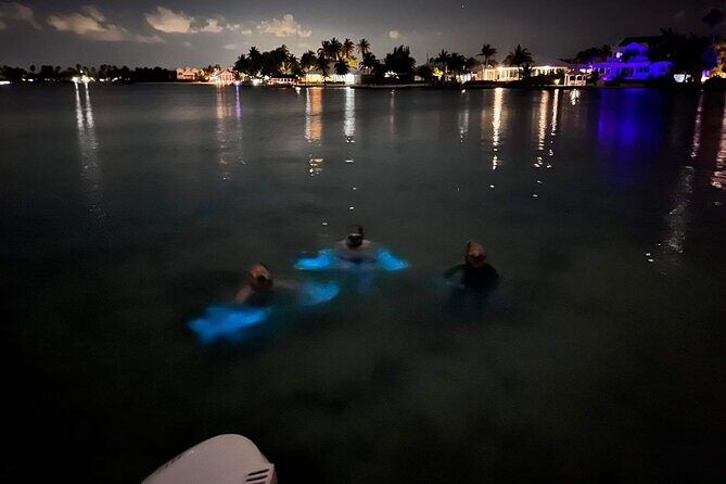 Grand Cayman - Bioluminescent Bay Tour - Additional Details and Practical Tips