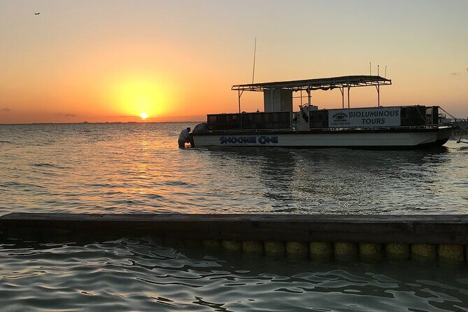 Grand Cayman - Bioluminescent Bay Tour - Value for Money