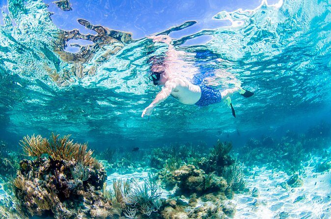 Grand Cayman Kittiwake and Reef Sail - Who Should Consider This Tour?
