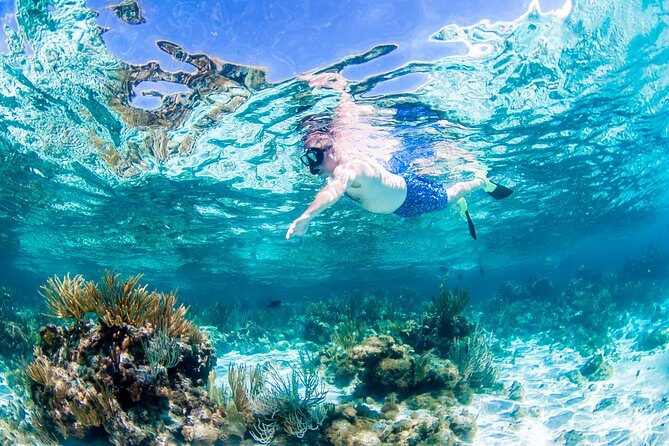 Grand Cayman Kittiwake and Reef Sail - FAQs About the Grand Cayman Kittiwake and Reef Sail