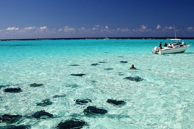 Grand Cayman Stingray City and Reef Snorkeling Combo Tour - Key Points