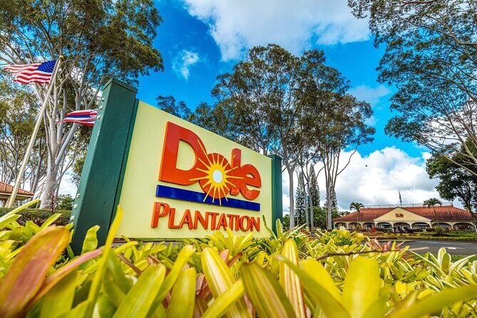 Grand Circle Island Tour - Transportation, Timing & Overall Value