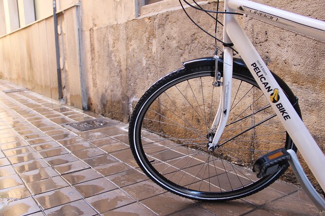 GRAND CITY Private Guided Tour on Bike, E-Bike, E-Step or Segway - Who Will Love This Tour?