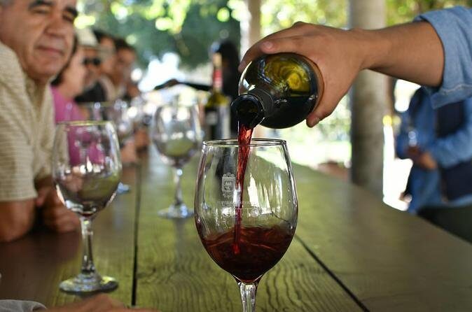 Grand Mexico Wine Country Tour from San Diego - An In-Depth Look at the Grand Mexico Wine Country Tour