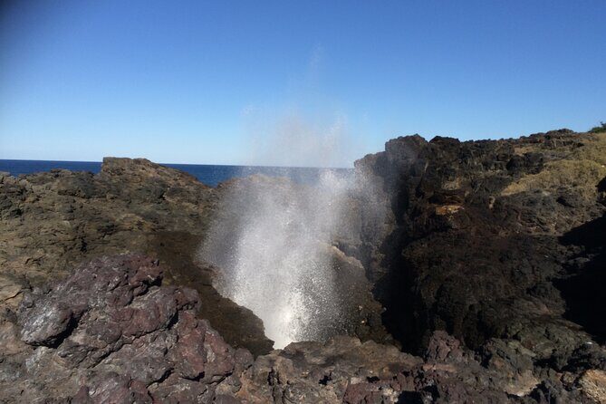 Grand Pacific Drive and Southern Highlands Tour - A Full-Day Adventure Through Natural Beauty and Small-Town Charm