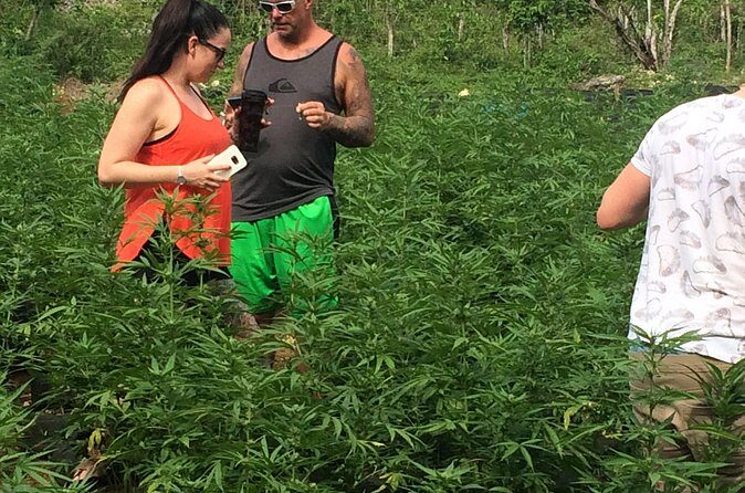 Grand Palladium from MBJ Airport - FAQ