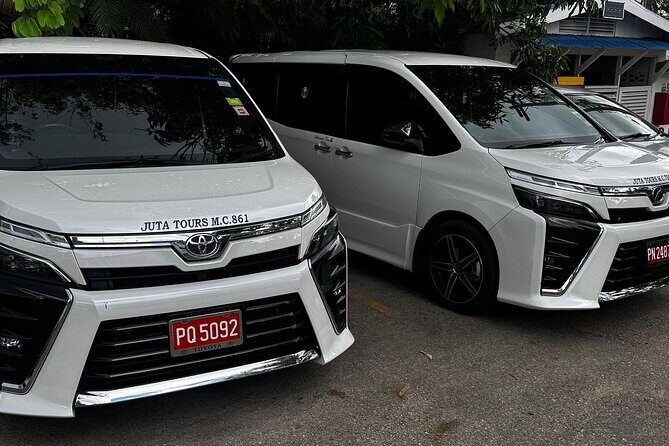 Grand Palladium Jamaica - Lady Hamilton Airport Transfer MBJ *** - Introduction