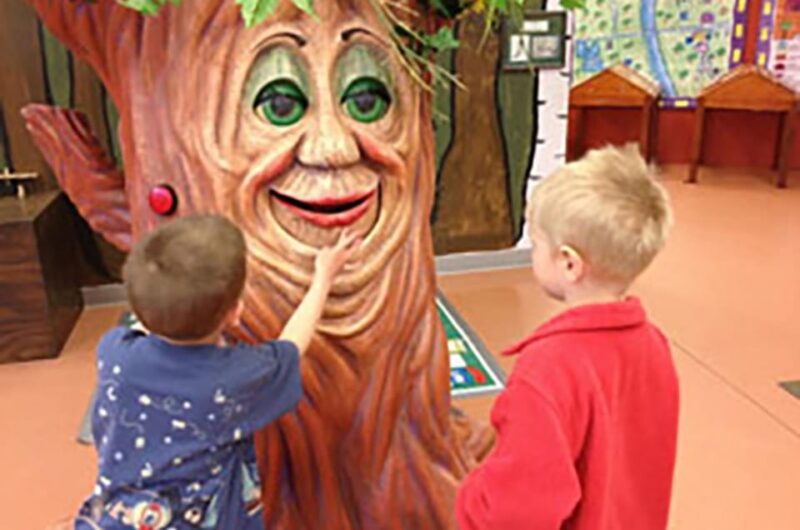 Grand Rapids: Children's Discovery Museum Admission - Practical Tips for Visitors