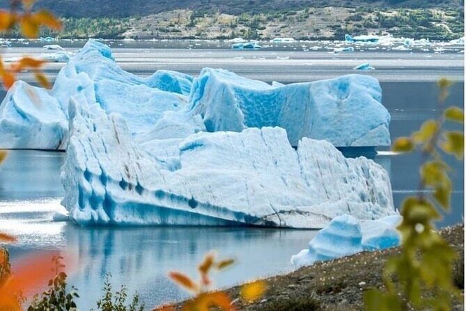 Grand Seward Ocean and Icebergs 1.5 hours 2 Landings Seward - The Itinerary in Detail: What to Expect