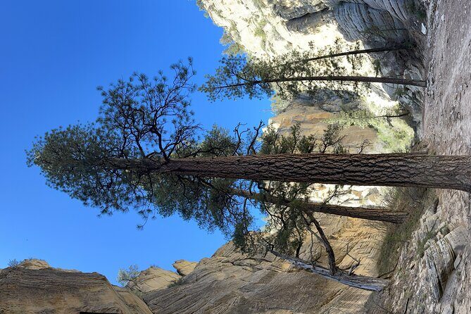 Grand Staircase Full-Day Private Tour - What Past Travelers Say