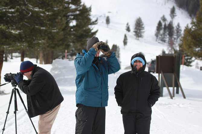 Grand Teton and National Elk Refuge Winter Wonderland Full Day Adventure - Who This Tour Is Best For