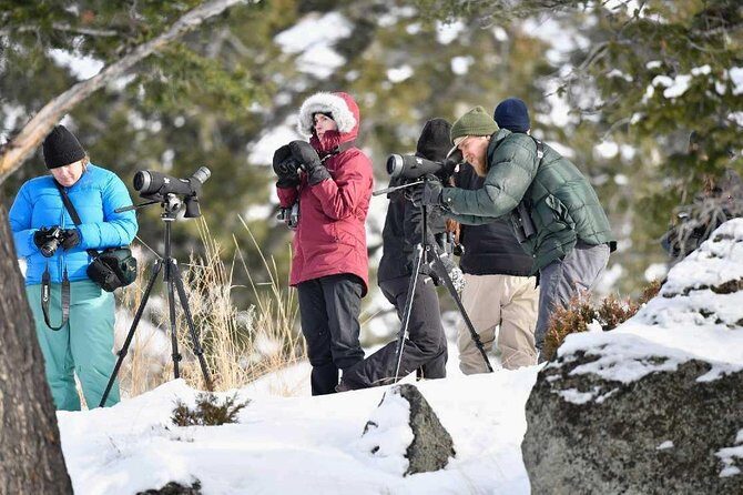 Grand Teton and Native American Petroglyph Tour - FAQs