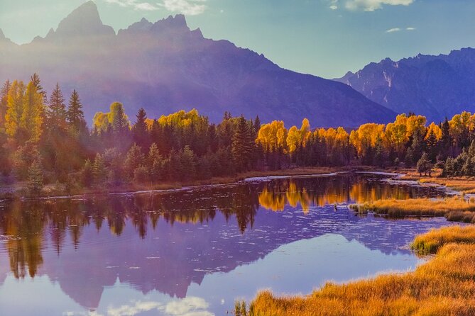 Grand Teton National Park Tour From Jackson Hole - Customer Feedback and Guide Performance