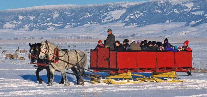 Grand Teton National Park: Wildlife Tour and Sleigh Ride - FAQ