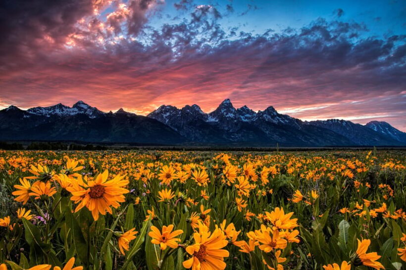 Grand Teton: Private Guided Tour (Sunset) - Key Points