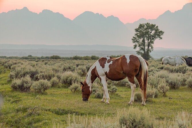 Grand Teton: Private Sunset Tour - Final Thoughts