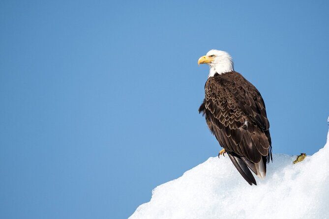 Grand Teton Private Winter Tour - Frequently Asked Questions