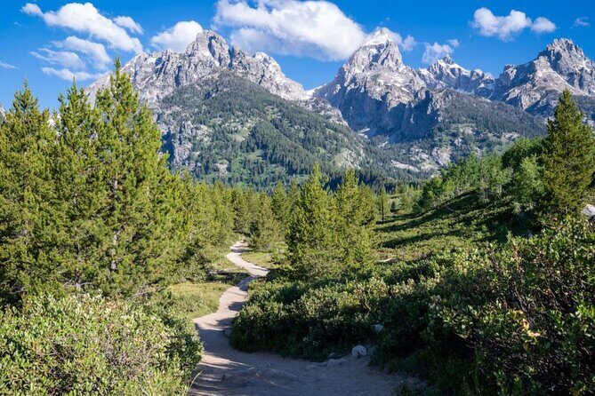 Grand Teton Self-Guided Driving Audio Tour - Who is it best for?