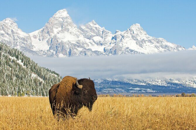 Grand Teton Self-Guided Driving Audio Tour - FAQ