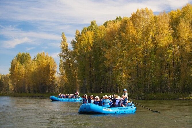 Grand Teton Views 14-Mile Snake River Scenic Float - Wildlife Encounters on the Snake River
