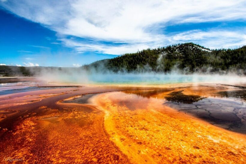 Grand Teton,Yellowstone National Park 3-Day Tour from SLC - Key Points