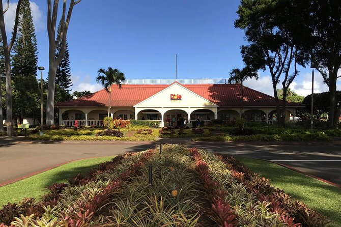 Grand Tour Around Island 16 Locations plus Snorkeling - Practical Details and What to Expect