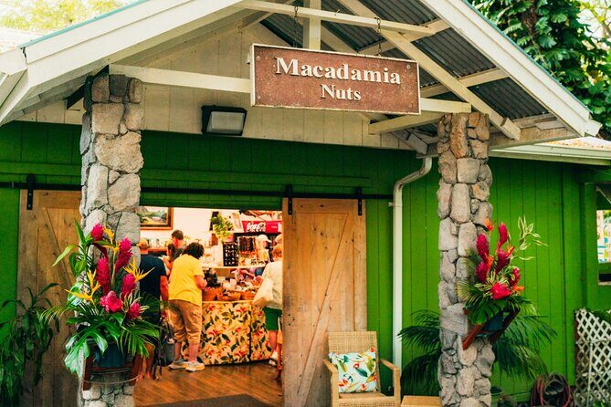 Grand Tour Around Oahu- Swim at Waterfall & Turtle Beach - In Closing