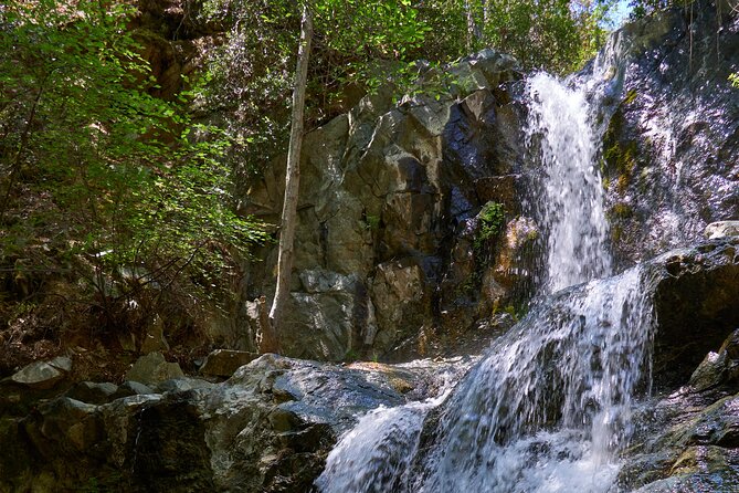 Grand Tour Full Day Jeep Safari From Larnaka Bay - Lunch in Platres Village