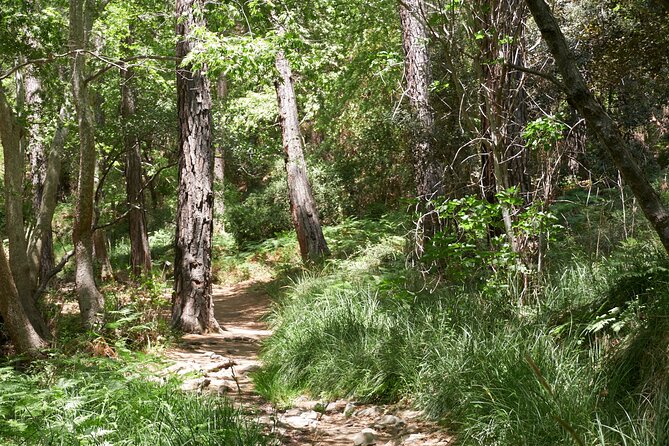 Grand Tour Full Day Jeep Safari From Larnaka Bay - Cancellation and Additional Info