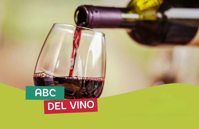 Grand Tour Italy, Bologna - The ABC's of Wine - The Experience Breakdown