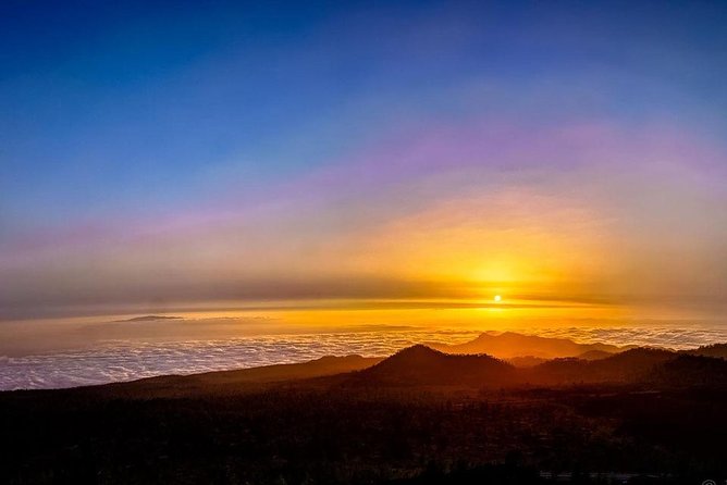 Grand Tour Tenerife - Full-Day Private VIP Tour - Accessibility and Participation