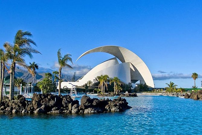 Grand Tour Tenerife - Full-Day Private VIP Tour - Traveler Reviews and Feedback