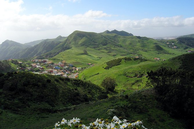 Grand Tour Tenerife - Full-Day Private VIP Tour - Discovering the Wonders of Tenerife