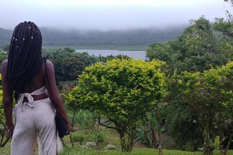 Grand Tours Grenada Call the Boss Taxi Luxurious Island Tour - Who is This Tour Best For?