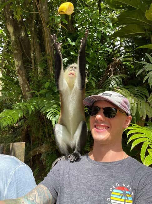 Grand Tours Grenada Call the Boss Taxi Luxurious Island Tour - Final Thoughts