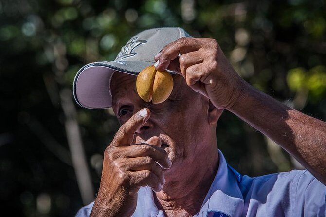 Grandanse Beach Time, Fort Frederick and Annandale Falls Tour - Who Should Consider This Tour