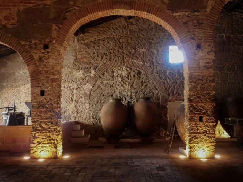Grande Prova Honrado Vineyards - An In-Depth Look at Grande Prova Honrado Vineyards