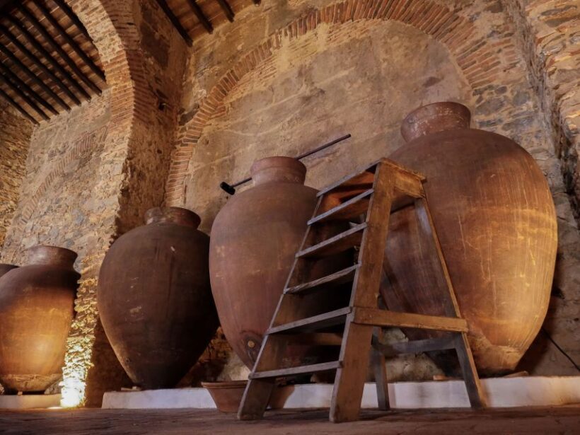 Grande Prova Honrado Vineyards - Price and Value Considerations