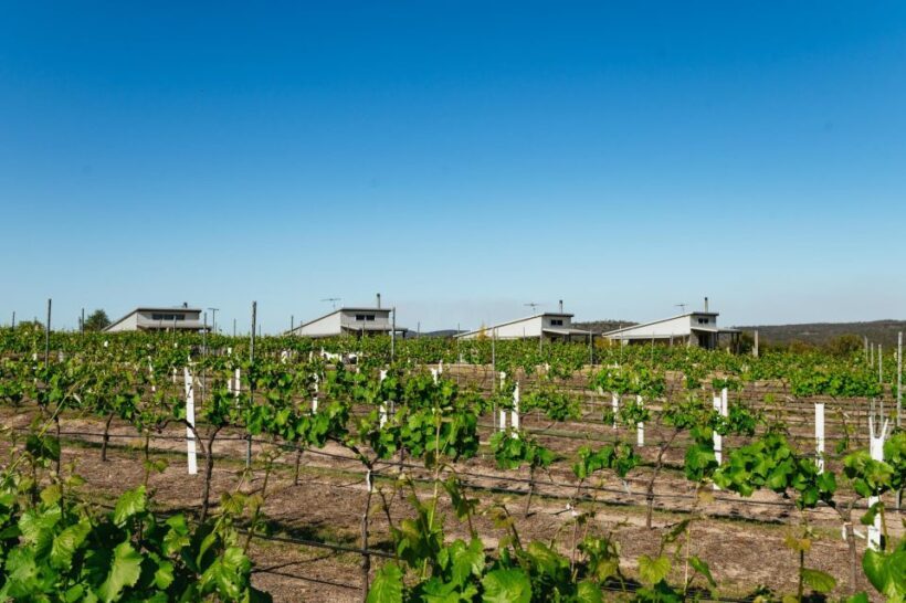 Granite Belt: Winemakers Winetasting Experience & Cheese - FAQs