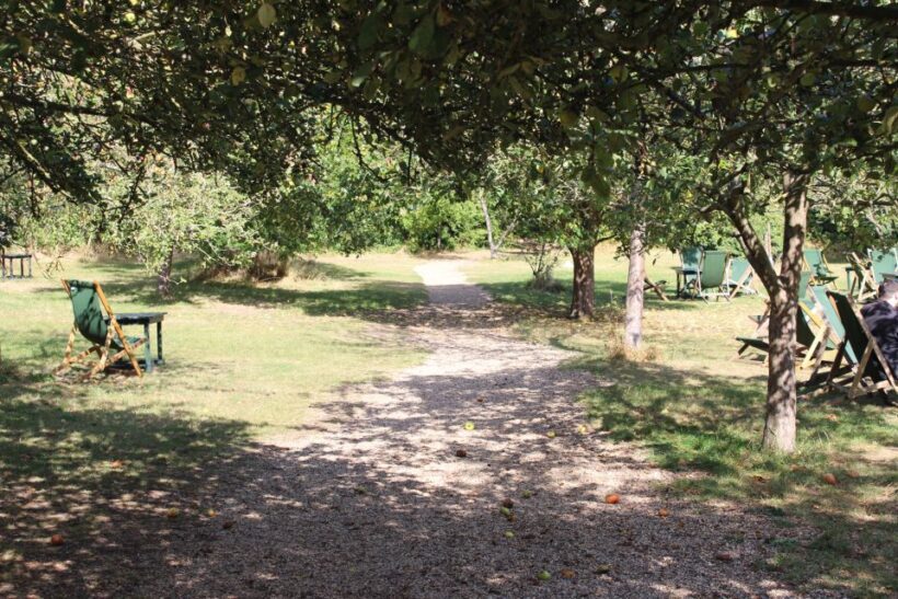 Grantchester: Walking Tour of TV Show Locations - Why This Tour Works for Different Types of Travelers