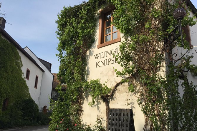 Grape Day out Pfalz to taste cracking Red wines & Riesling - Key Points