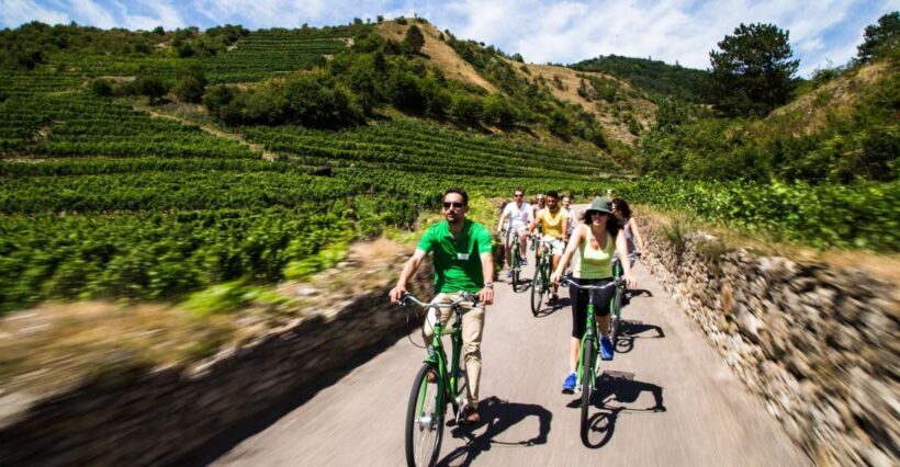 Grape Grazing: Wachau Valley Winery Biking Tour - Who Will Love This Tour?